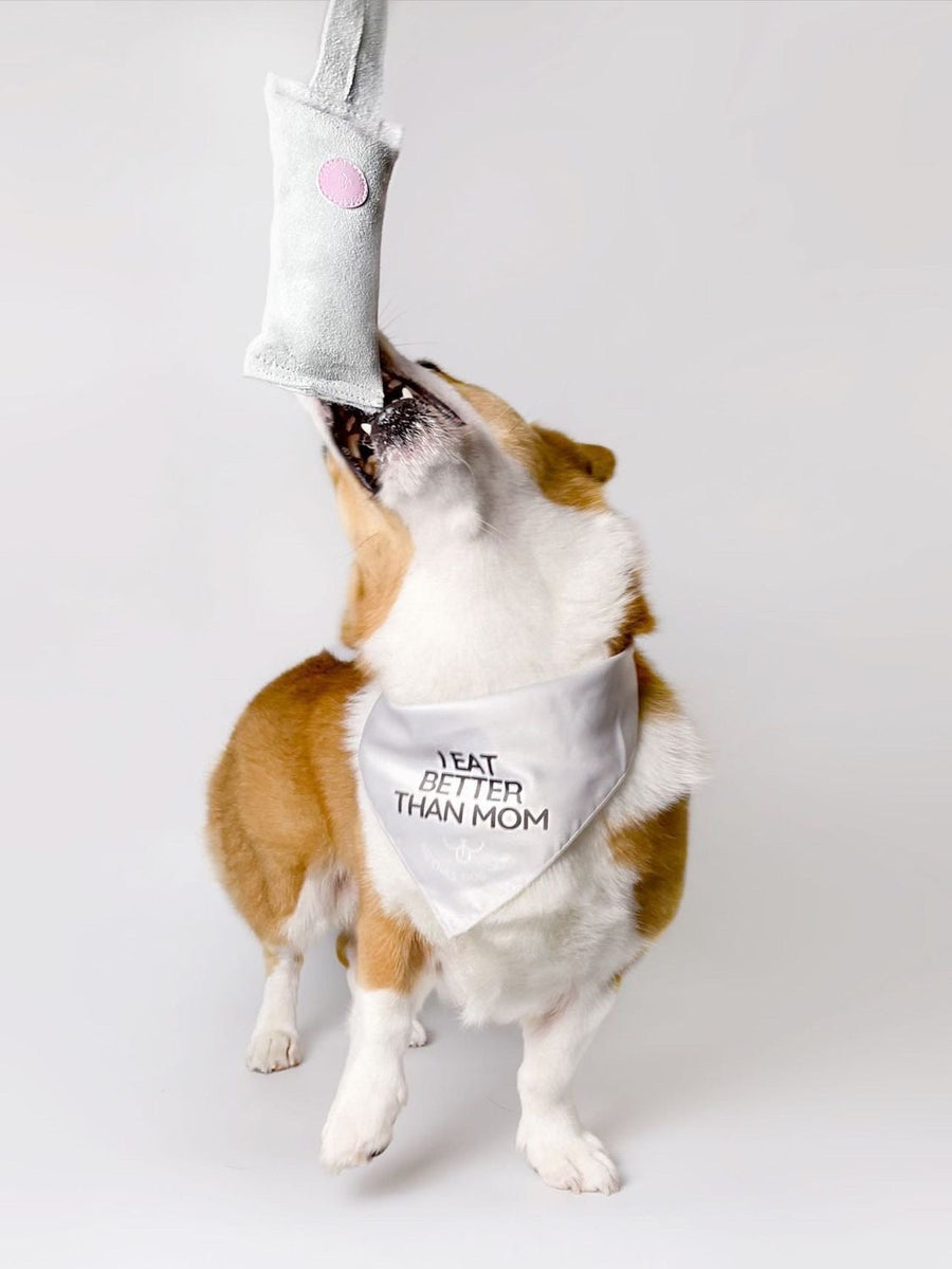 Tuggies (Long) – No Chill Dog Mom